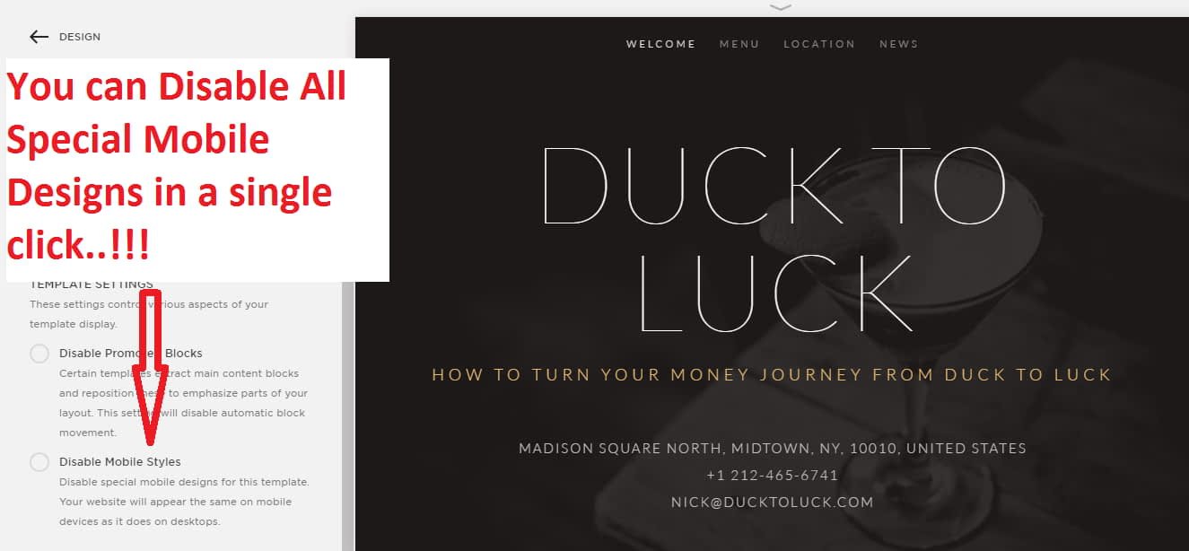 Squarespace Templates Review 2024- 5 Pros & 6 Cons